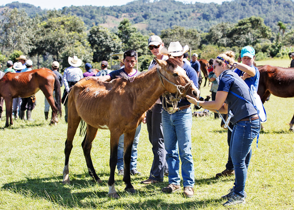 FullBucket Founders Pay It Forward– FullBucket Health