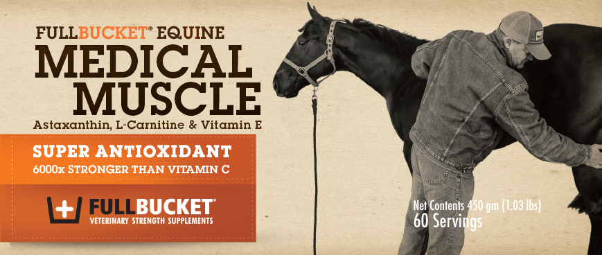 Medical Muscle Performance Horse Supplement | Power, Endurance, Recovery | FullBucket Health