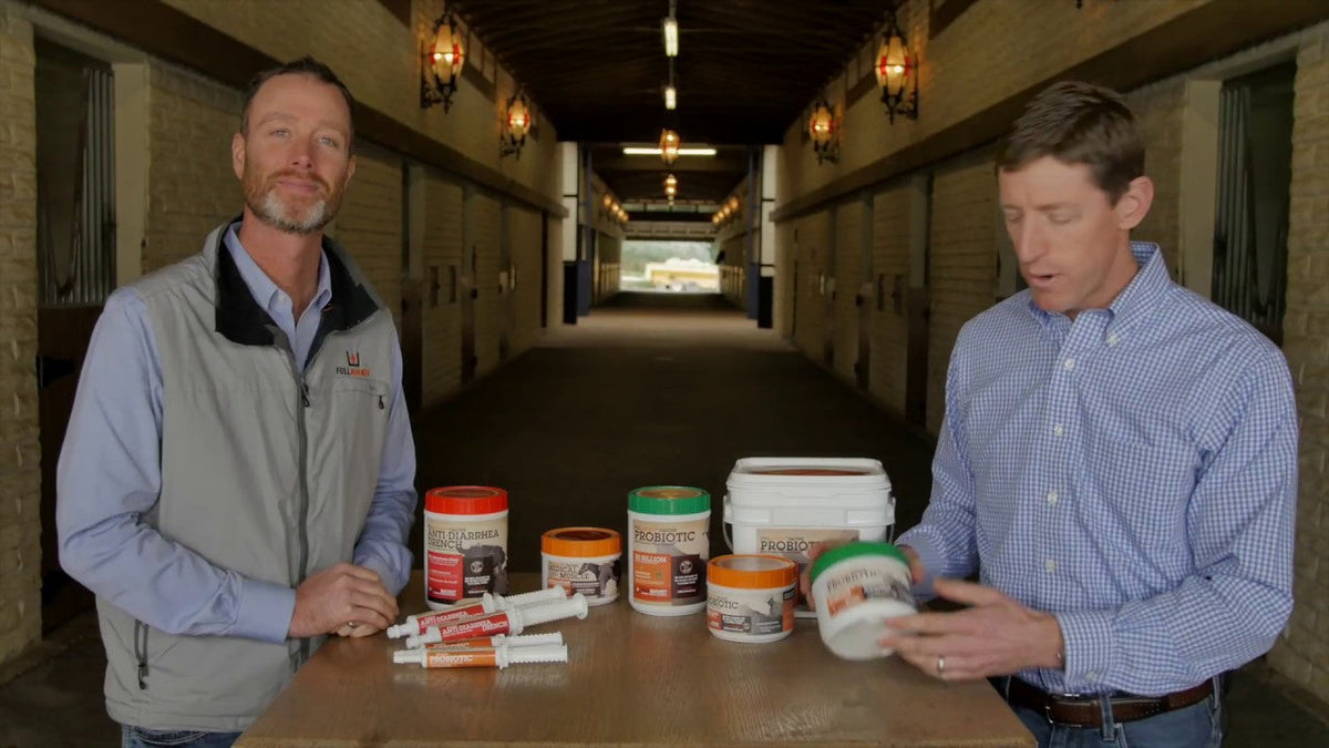 FullBucket Probiotic Granule 25 Billion CFUs for best horse probiotics ...