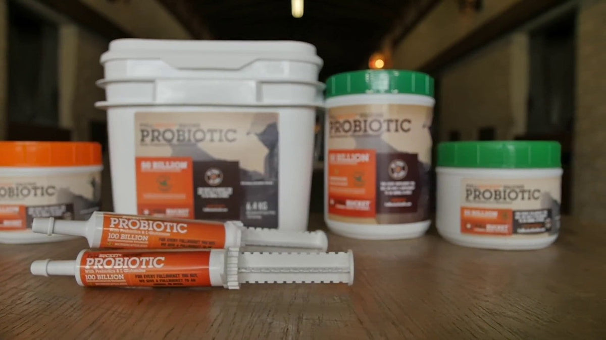 Equine Probiotic Paste Video– FullBucket Health