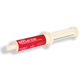 Equine Digestive Distress– FullBucket Health