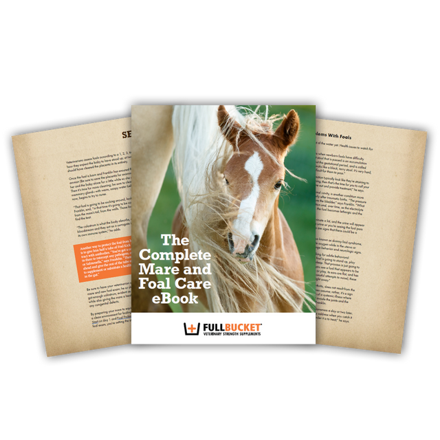 Mare & Foal Page– FullBucket Health