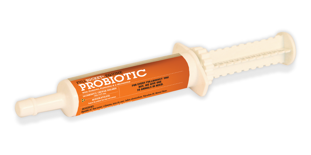 Equine Probiotic Paste | FullBucket Health