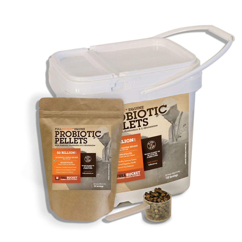 Equine Extra Strength Probiotic Pellets | FullBucket Health