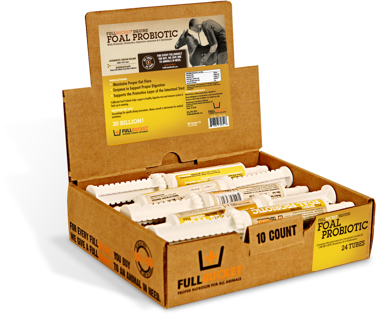 Foal Probiotic Paste | Probiotic & Prebiotic | FullBucket Health