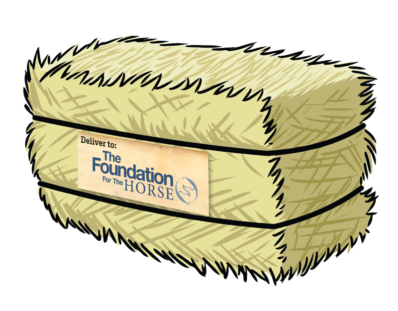 Make the best choice: 7 different types of hay for horses– FullBucket ...